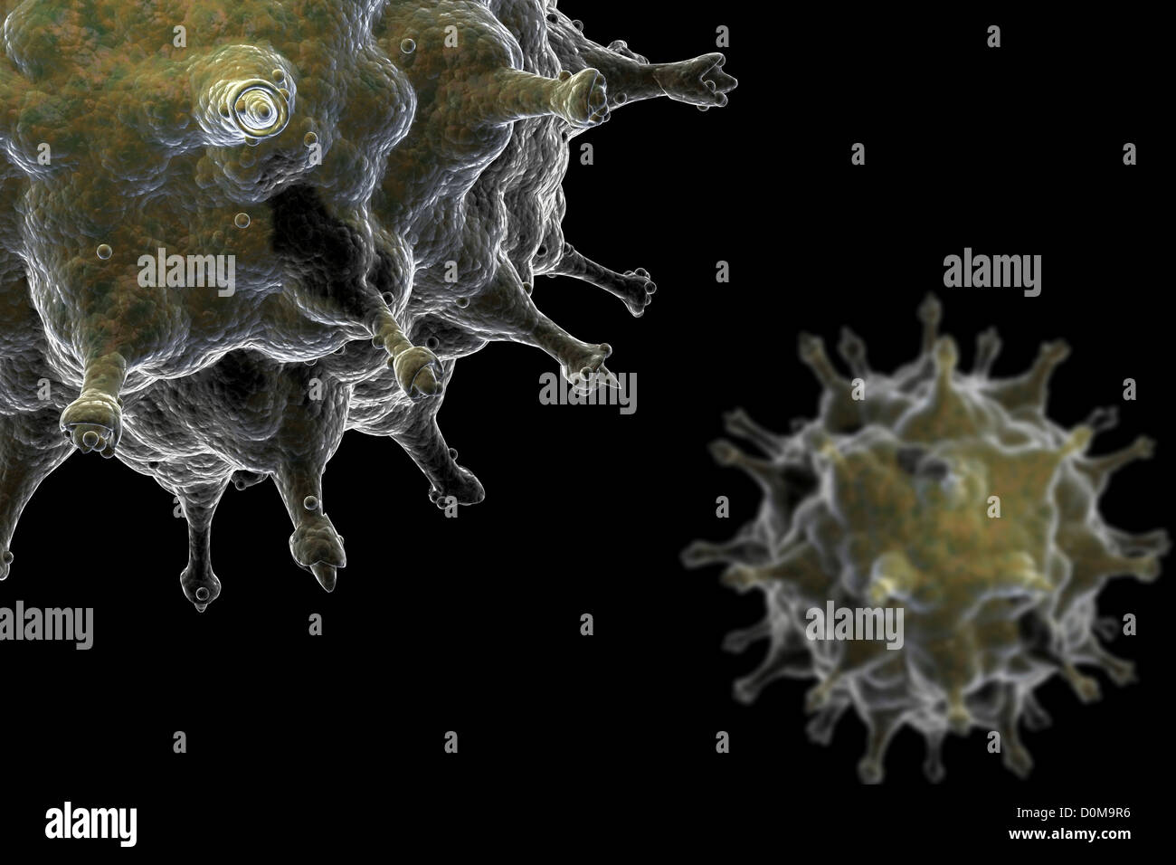 Stylized view of avian influenza virus particles Stock Photo - Alamy