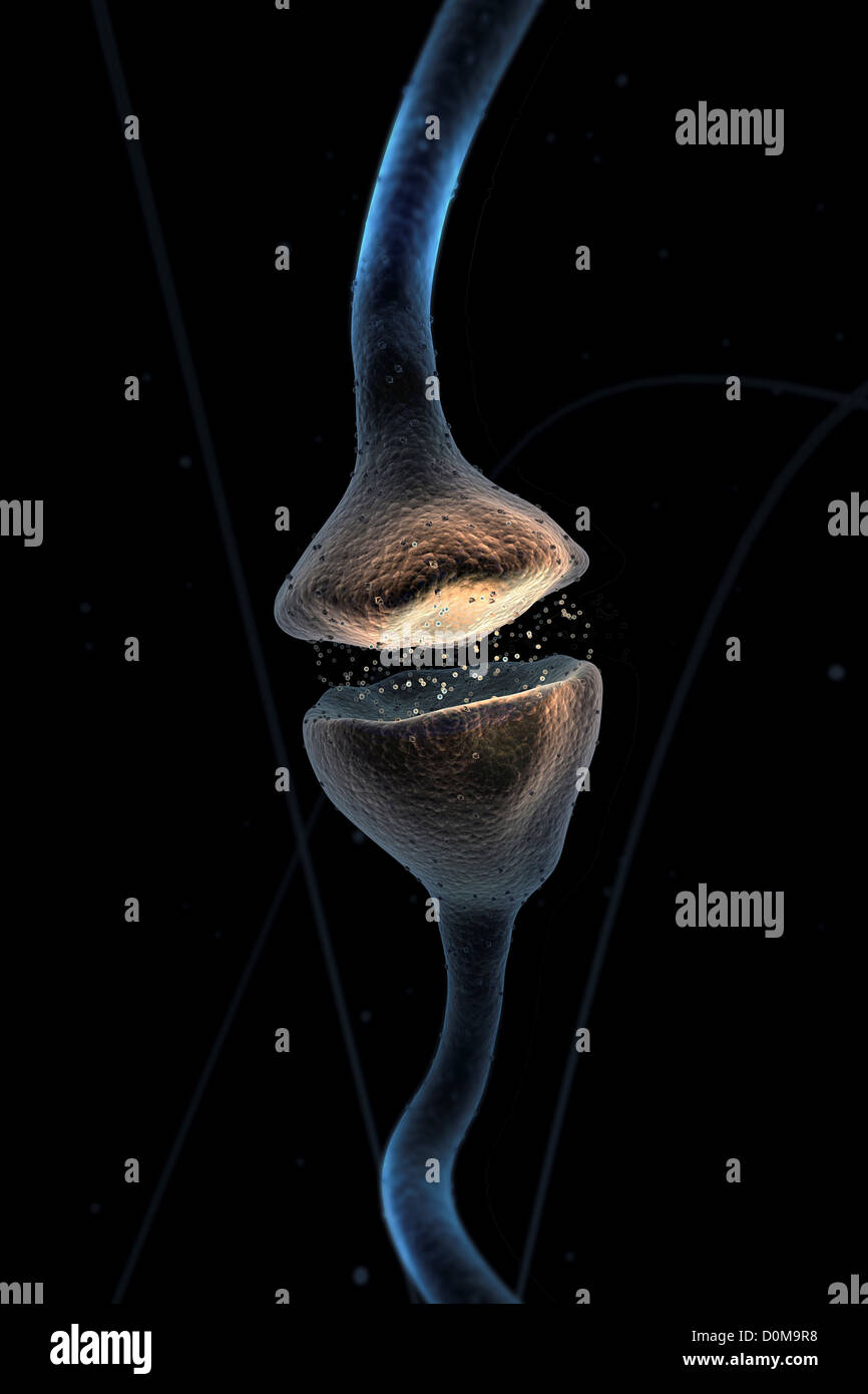 Microscopic styled visualization of a synapse Stock Photo - Alamy