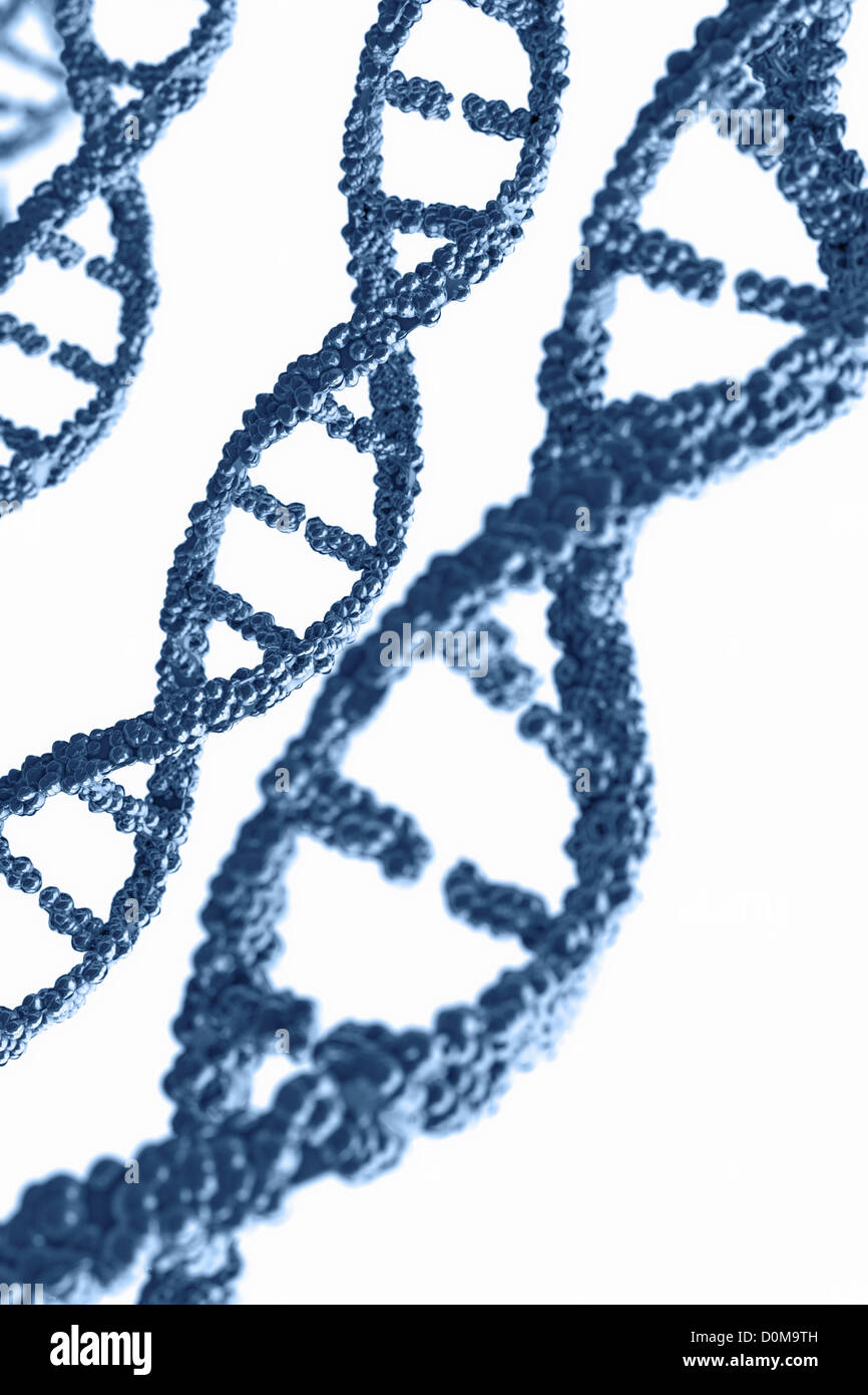 Stylized view of strands of human DNA or deoxyribonucleic acid Stock ...