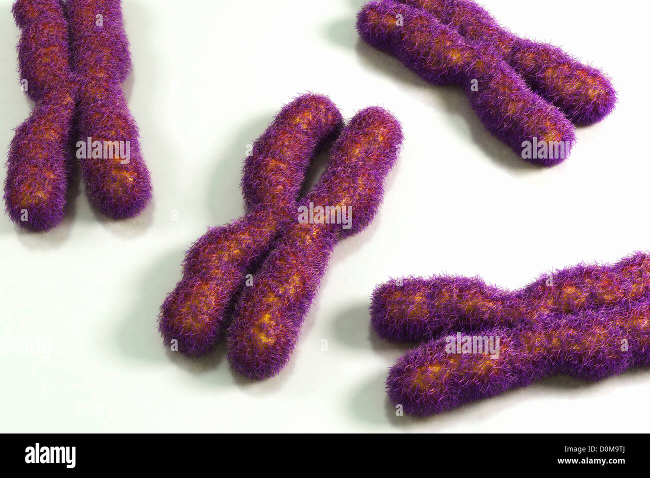 Conceptual depiction of human chromosomes Stock Photo - Alamy