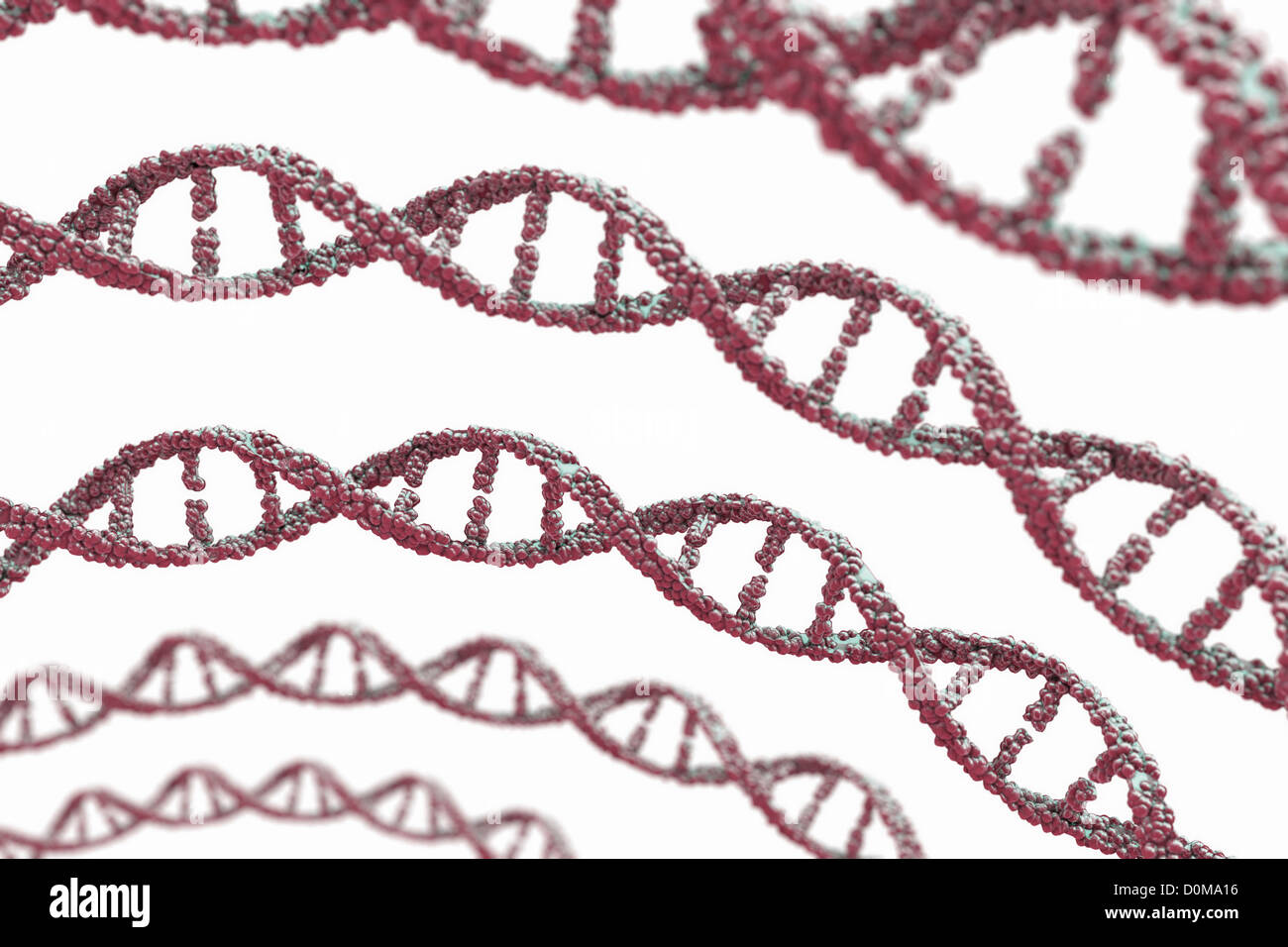 Stylized view of strands of human DNA or deoxyribonucleic acid Stock ...