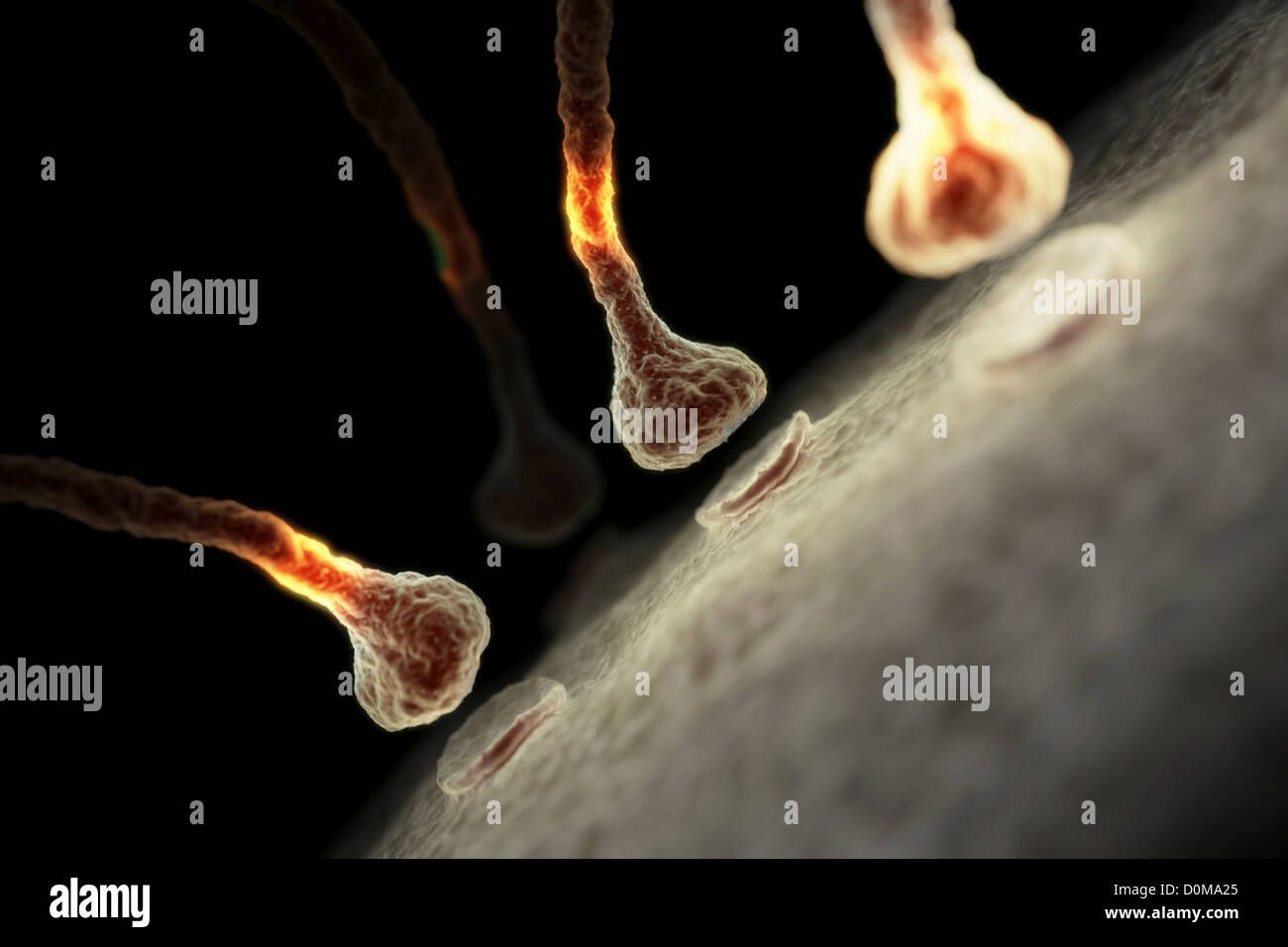 Microscopic styled visualization of a synapse Stock Photo - Alamy