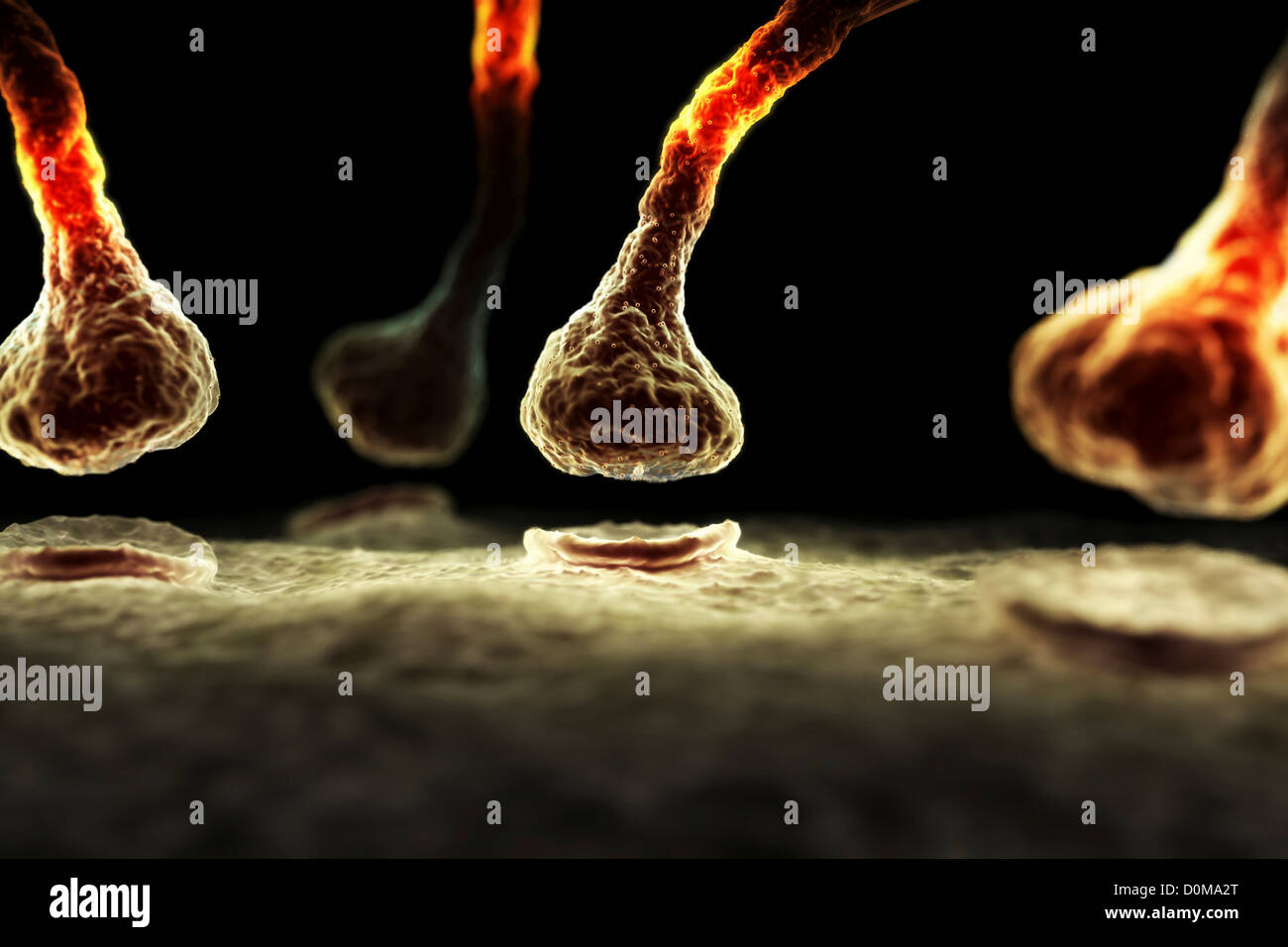 Microscopic styled visualization synapse hi-res stock photography and ...
