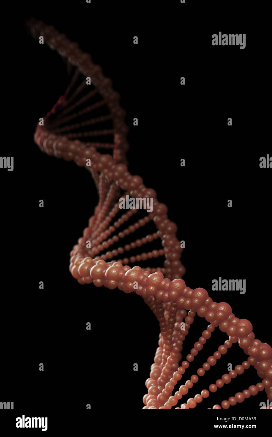 Stylized view of strands of human DNA or deoxyribonucleic acid Stock ...