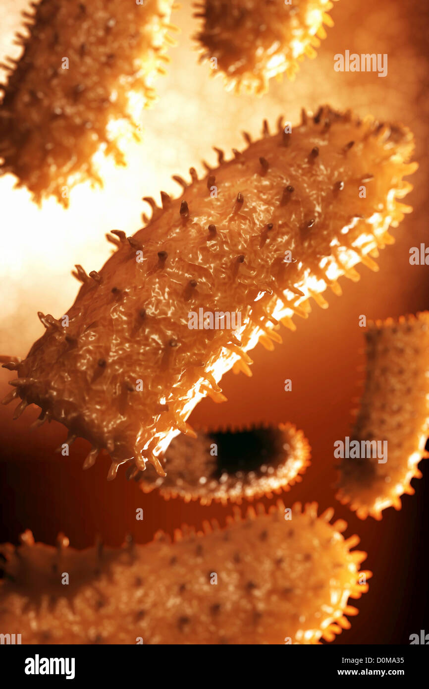 Rabies virus microscopic cells hi-res stock photography and images - Alamy