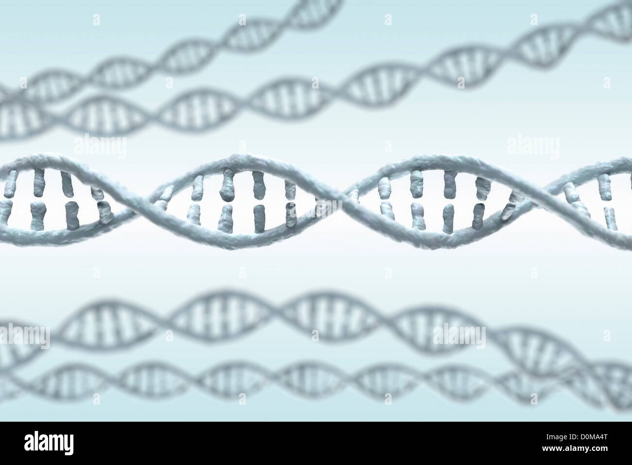 Stylized view of strands of human DNA or deoxyribonucleic acid Stock ...