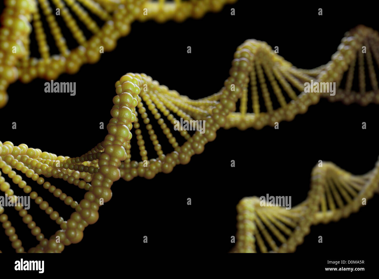 Stylized view of strands of human DNA or deoxyribonucleic acid Stock ...