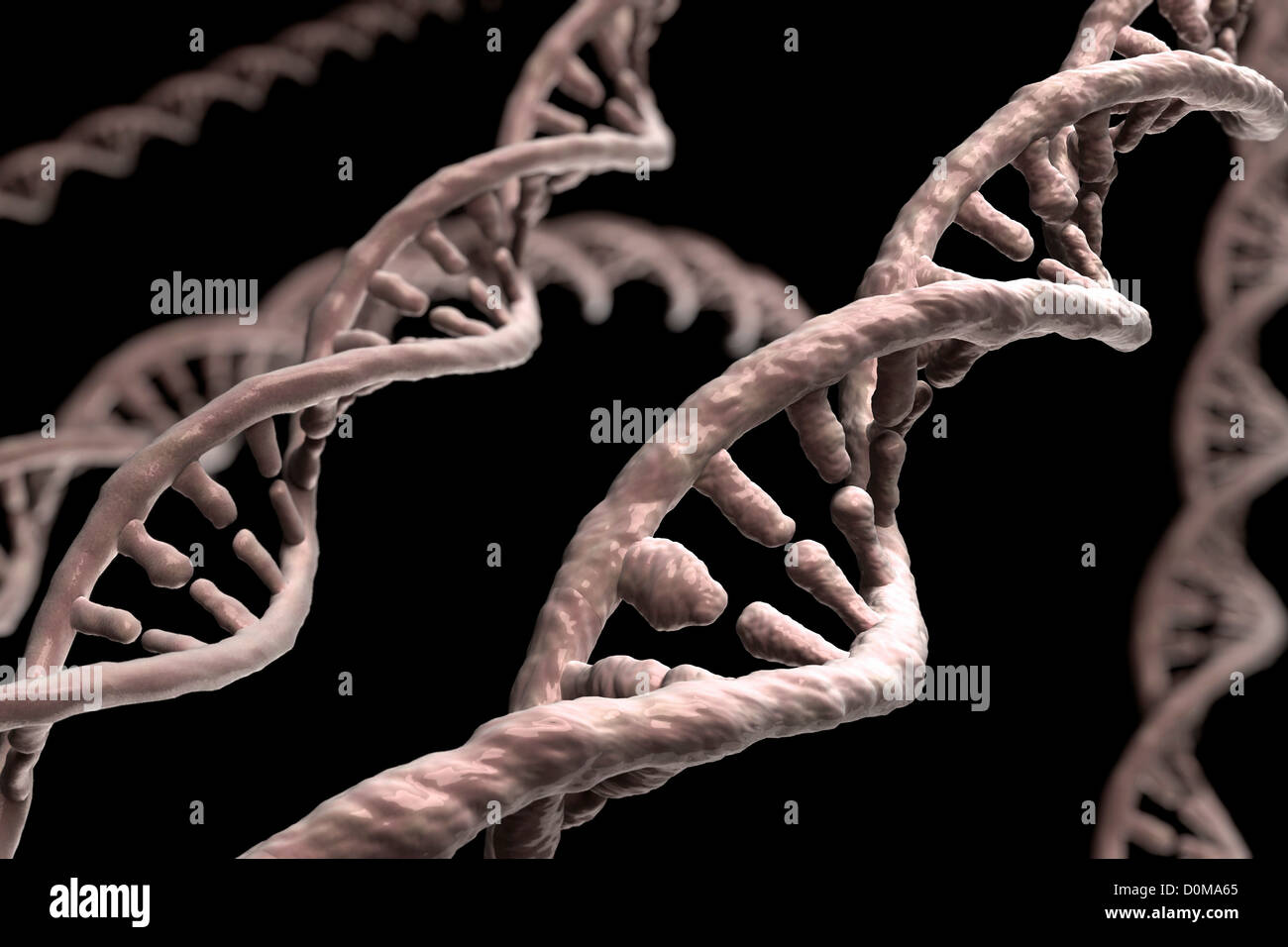 Stylized view of strands of human DNA or deoxyribonucleic acid Stock ...