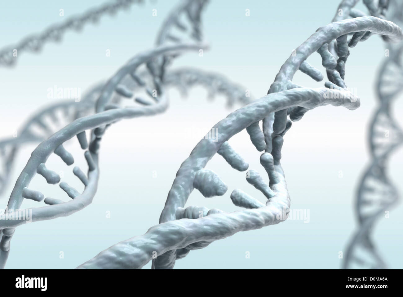 Stylized view of strands of human DNA or deoxyribonucleic acid Stock ...