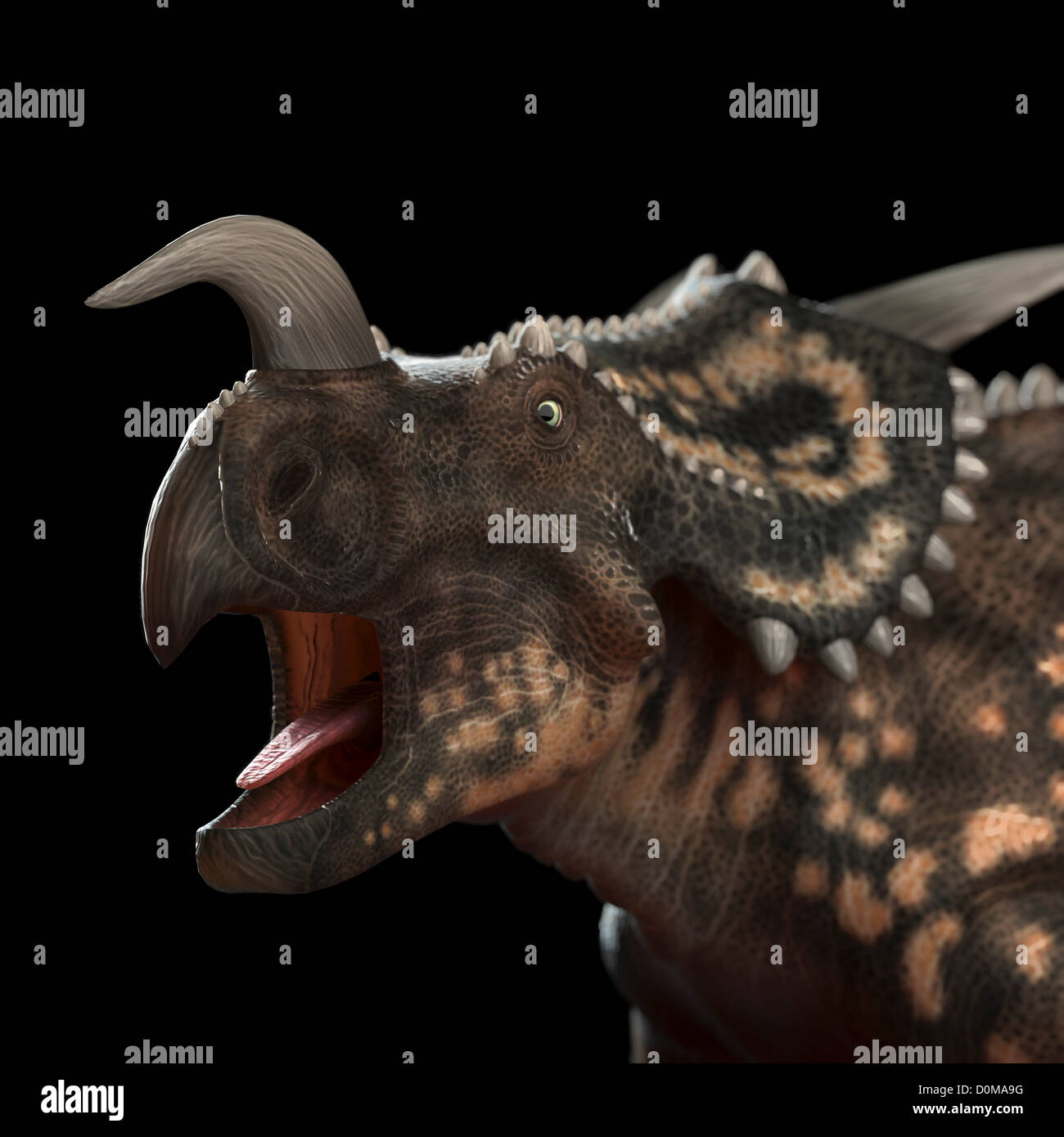 Head of a model Einosauruseye dinosaur showing a sharp horn Stock Photo ...