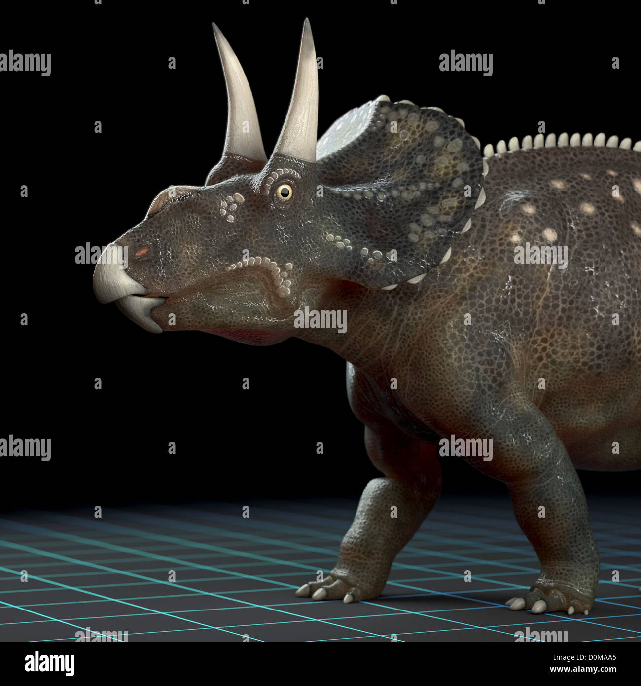 Model of a Diceratops dinosaur Stock Photo - Alamy