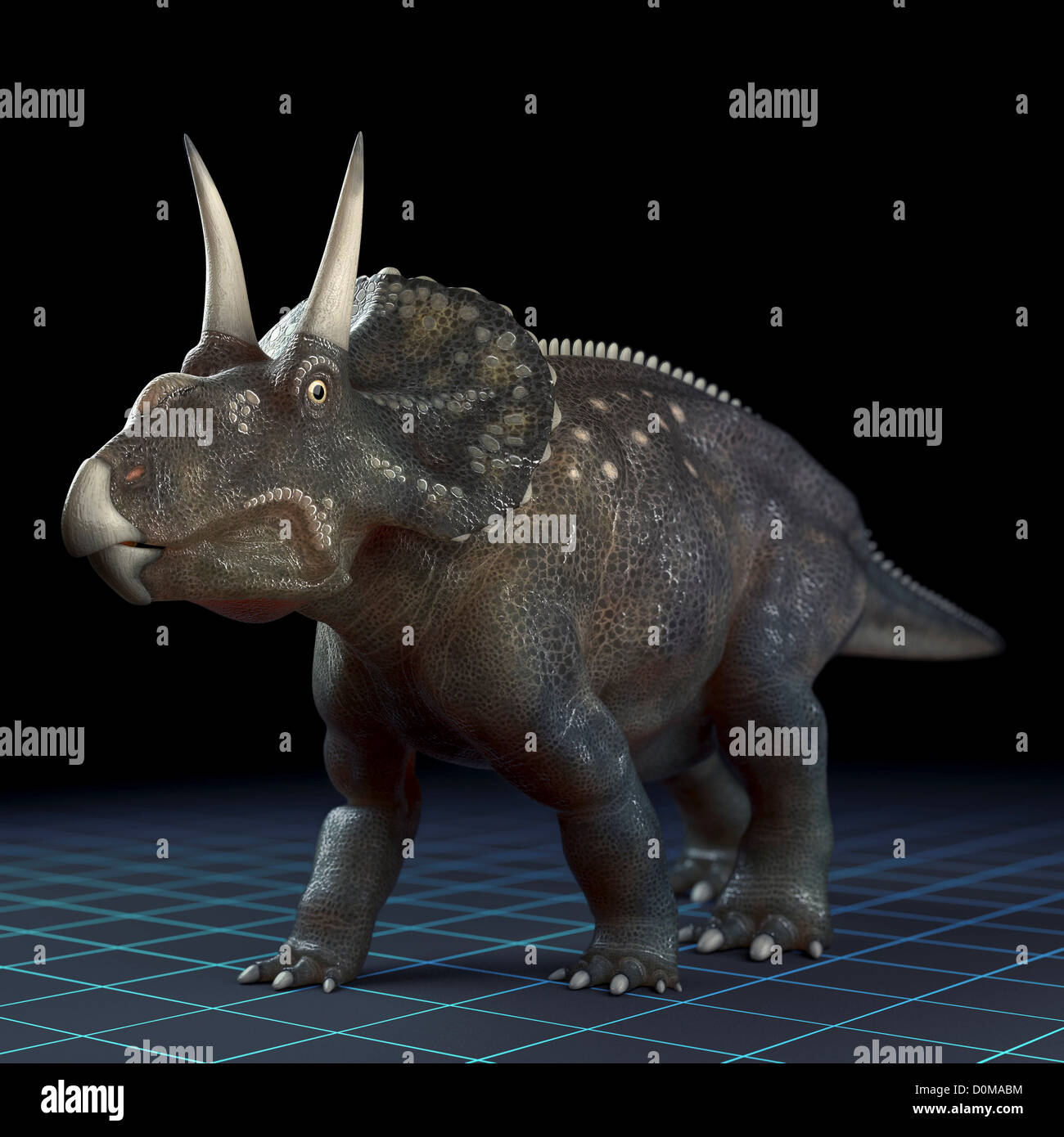 Model of a Diceratops dinosaur Stock Photo - Alamy