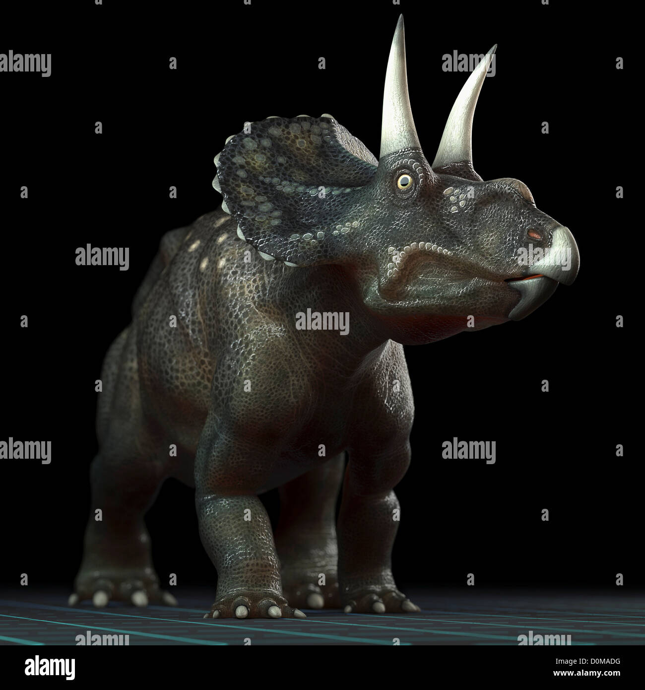 Model of a Diceratops dinosaur Stock Photo - Alamy