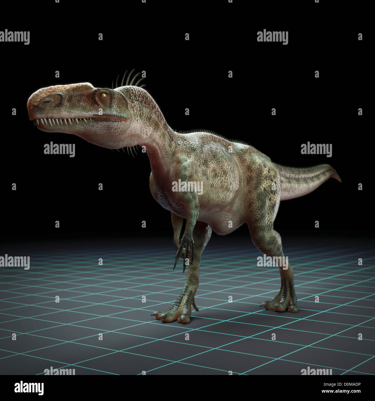 Model of a Monolophosaurus dinosaur Stock Photo - Alamy