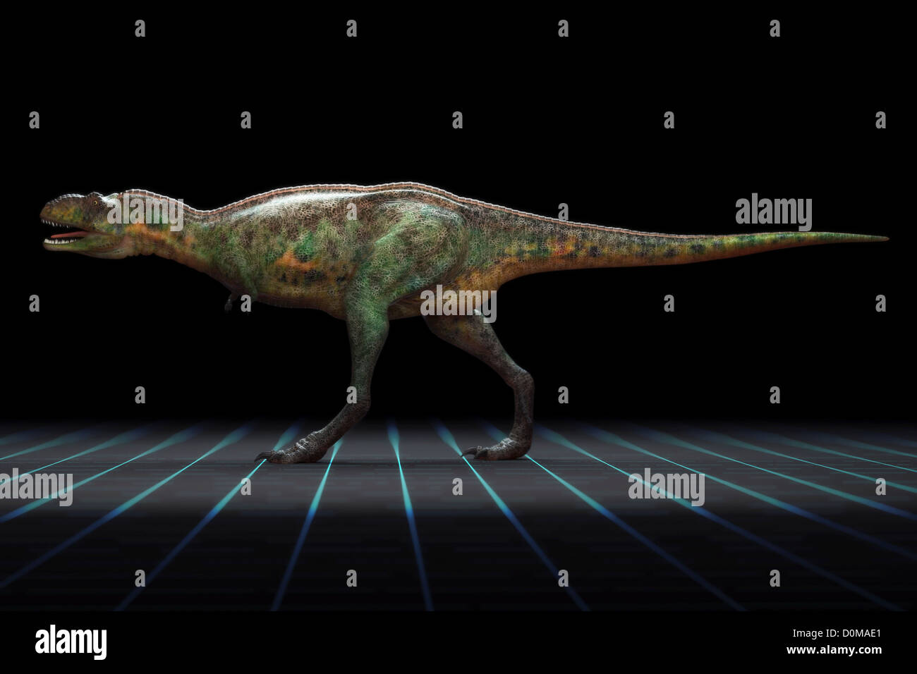 Model of a Aucasaurus dinosaur Stock Photo - Alamy