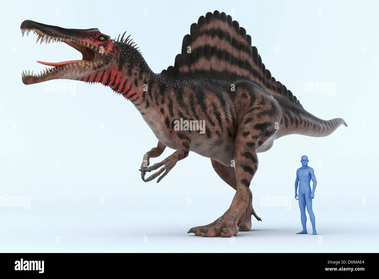 Spinosaurus Size To Human