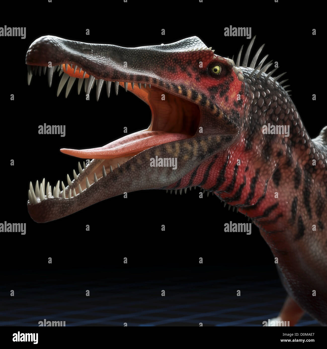 Head of a model Spinosaur dinosaur showing sharp teeth Stock Photo - Alamy