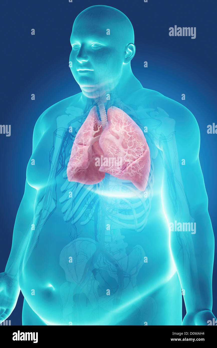 Obesity Lungs