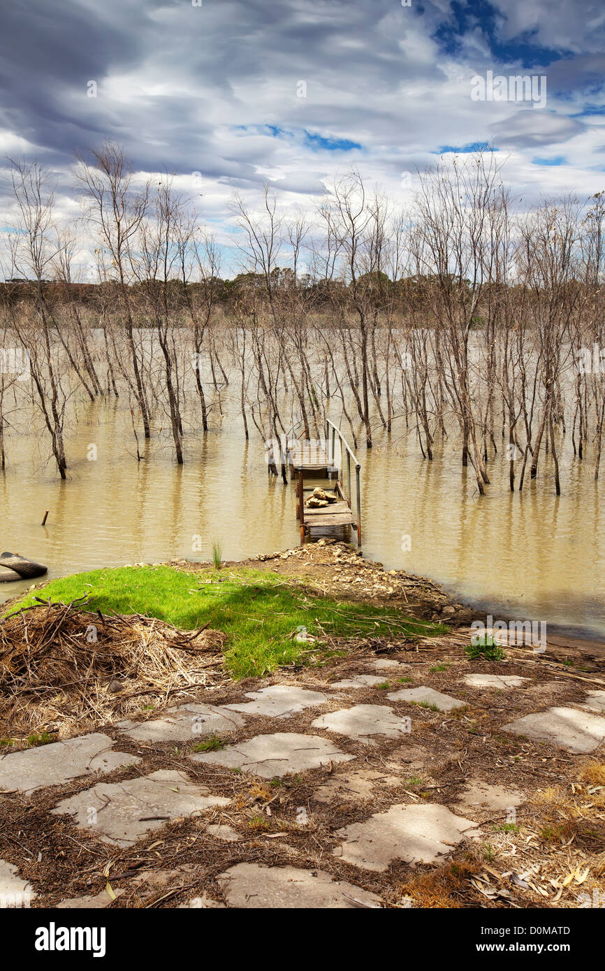 Banks of the Murray River Stock Photo - Alamy