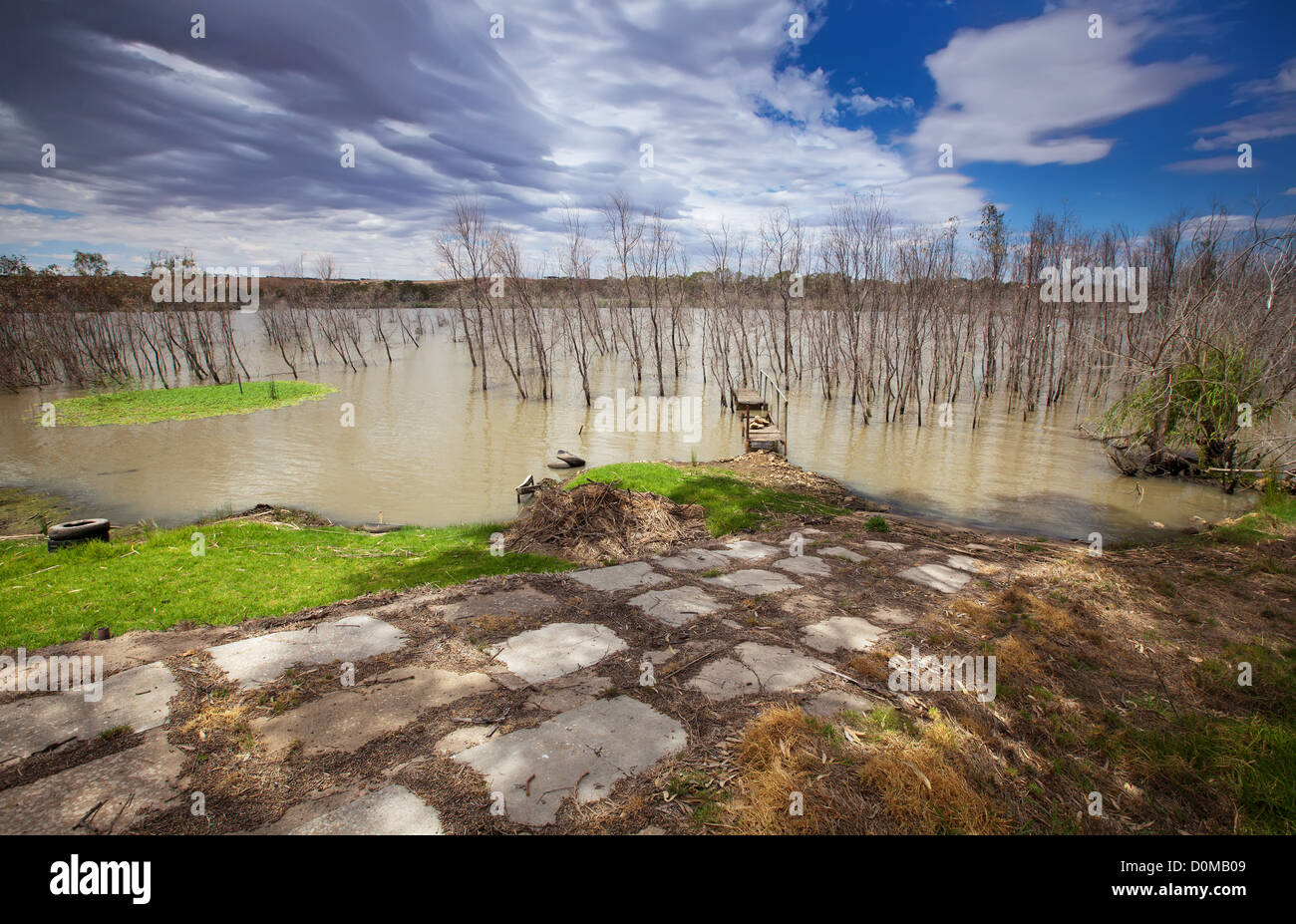 Banks of the Murray River Stock Photo - Alamy