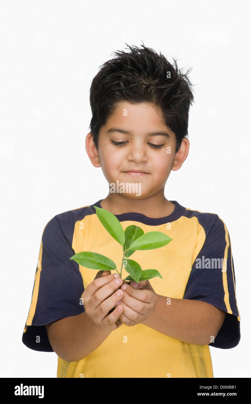 Boy holding sapling hi-res stock photography and images - Alamy