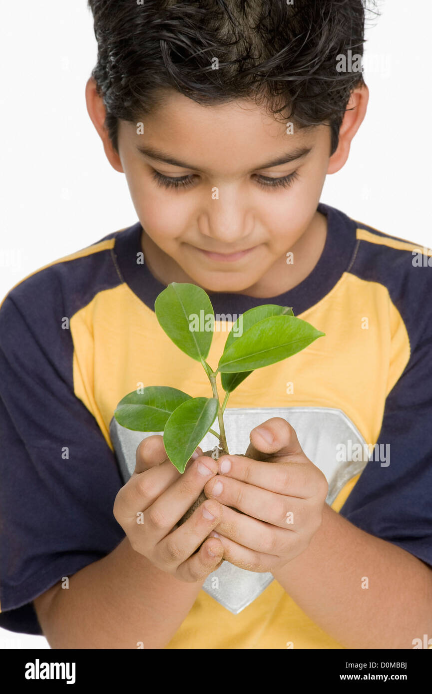 Close-up of a boy holding a plant Stock Photo - Alamy