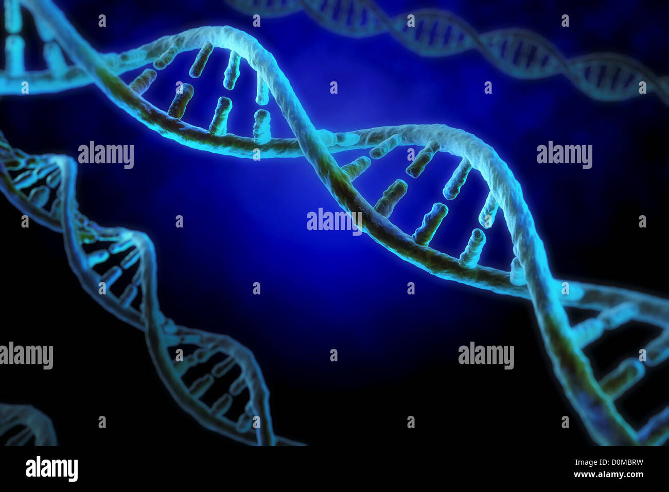 Double helix showing the complexity of DNA Stock Photo - Alamy