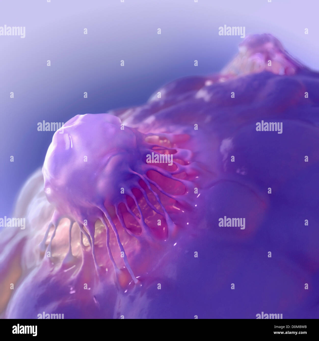 Purple stem cells Stock Photo - Alamy