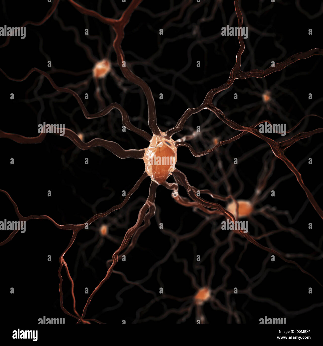 Neurons connecting at synapses Stock Photo - Alamy