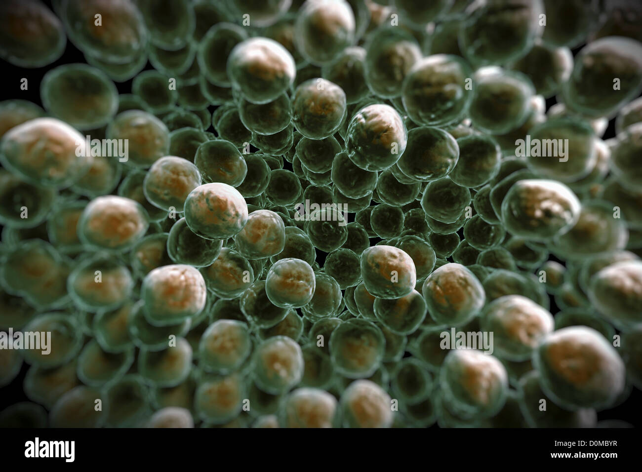 Group of MRSA bacterial cells Stock Photo - Alamy