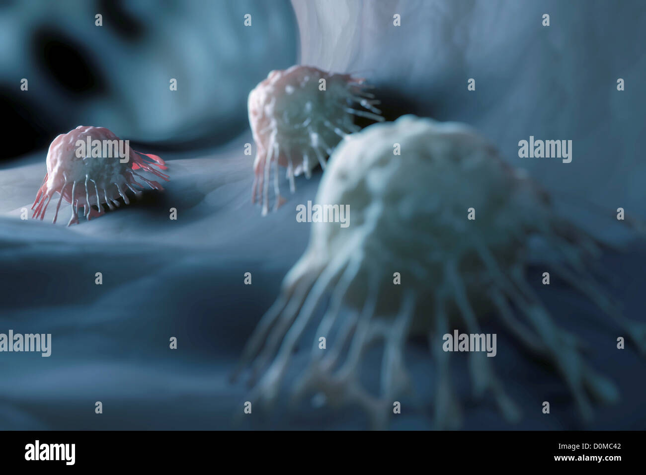 A group of cancer cells Stock Photo - Alamy
