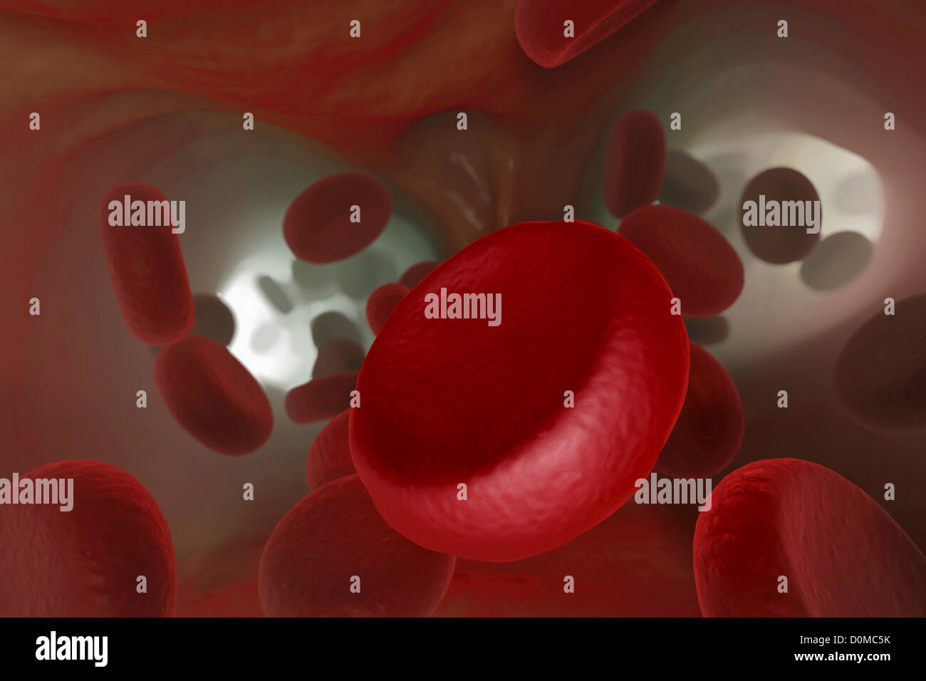 Group of red blood cells circulating in the bloodstream Stock Photo - Alamy