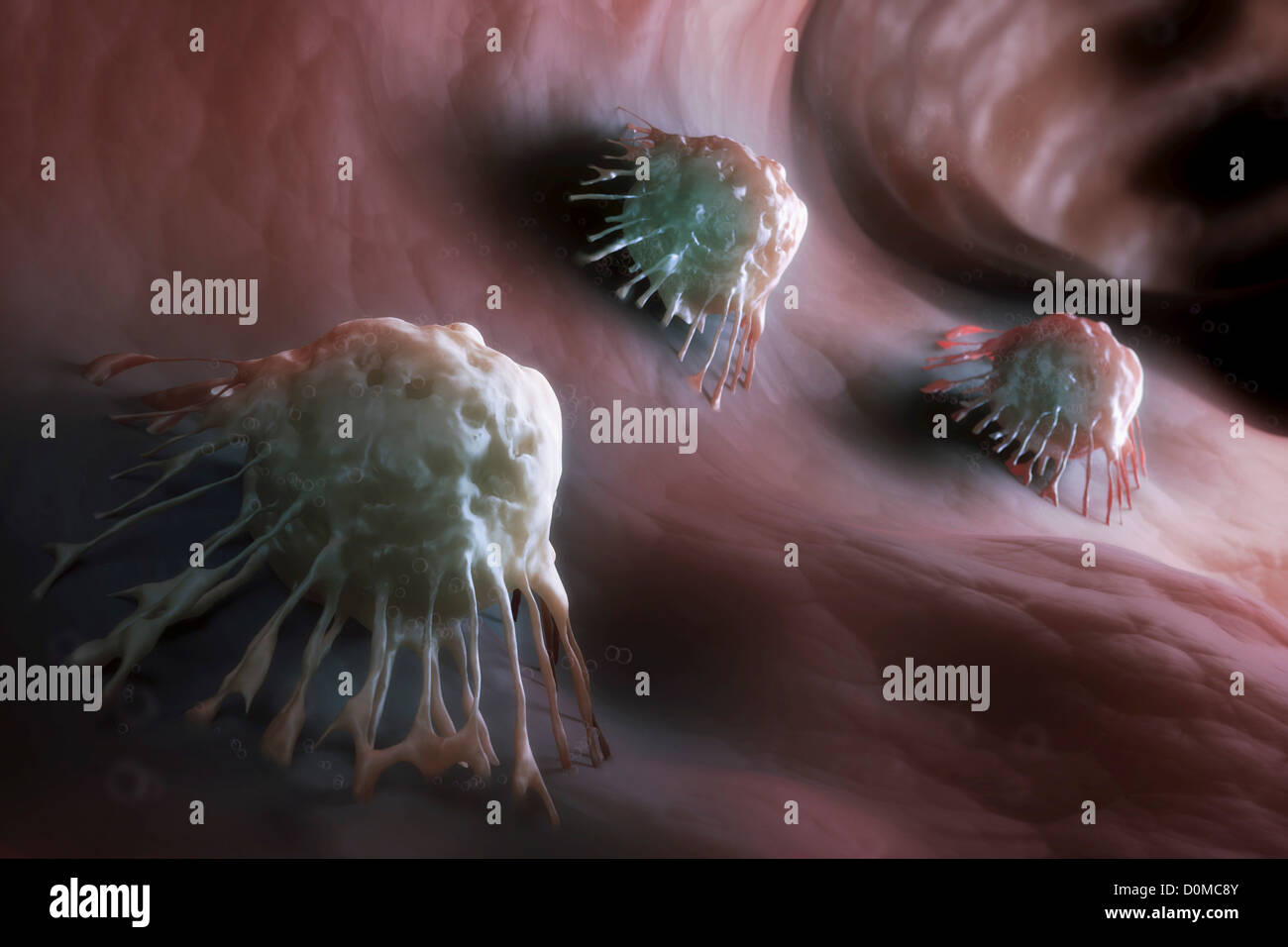 A group of cancer cells Stock Photo - Alamy