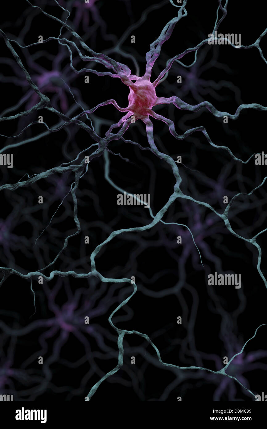 Neurons Connecting