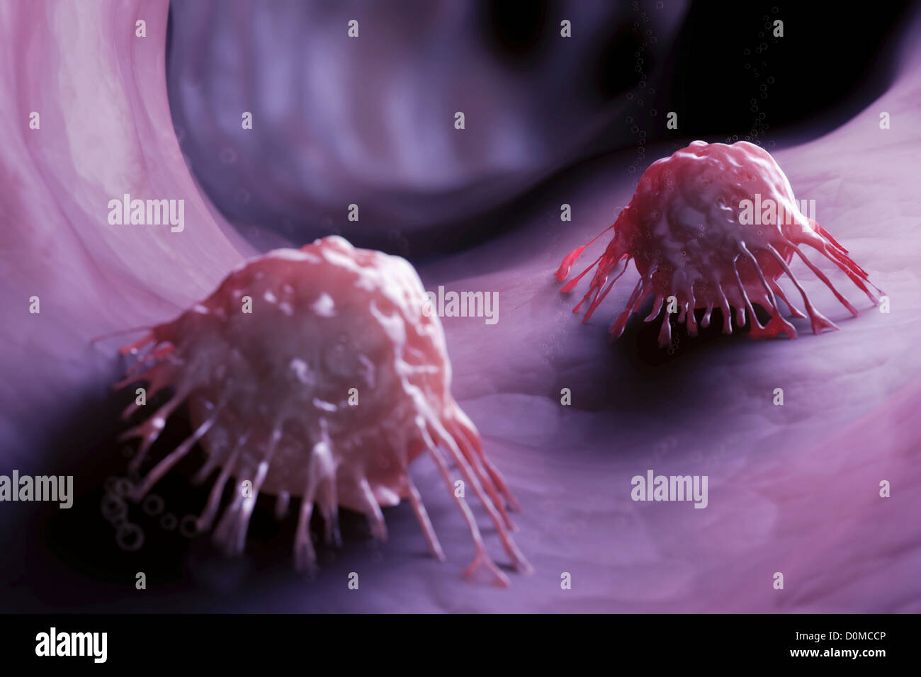 A group of cancer cells Stock Photo - Alamy