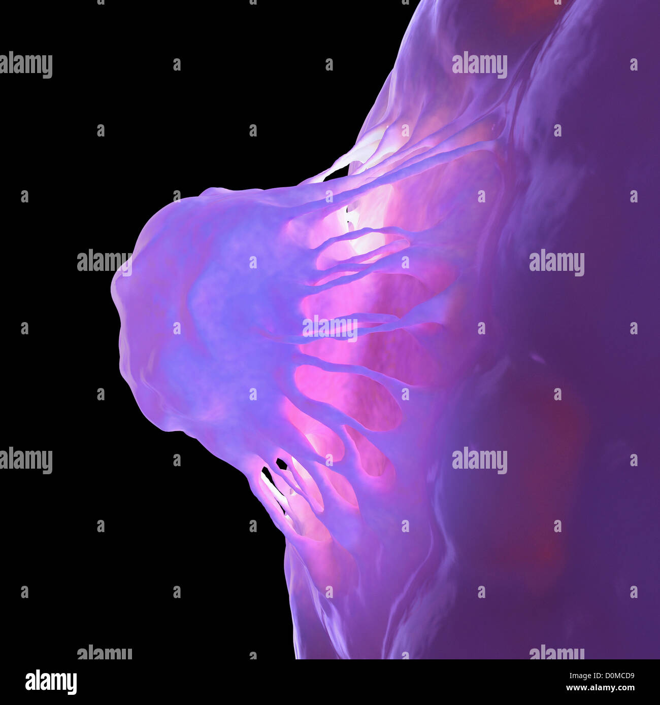 Purple stem cell Stock Photo - Alamy