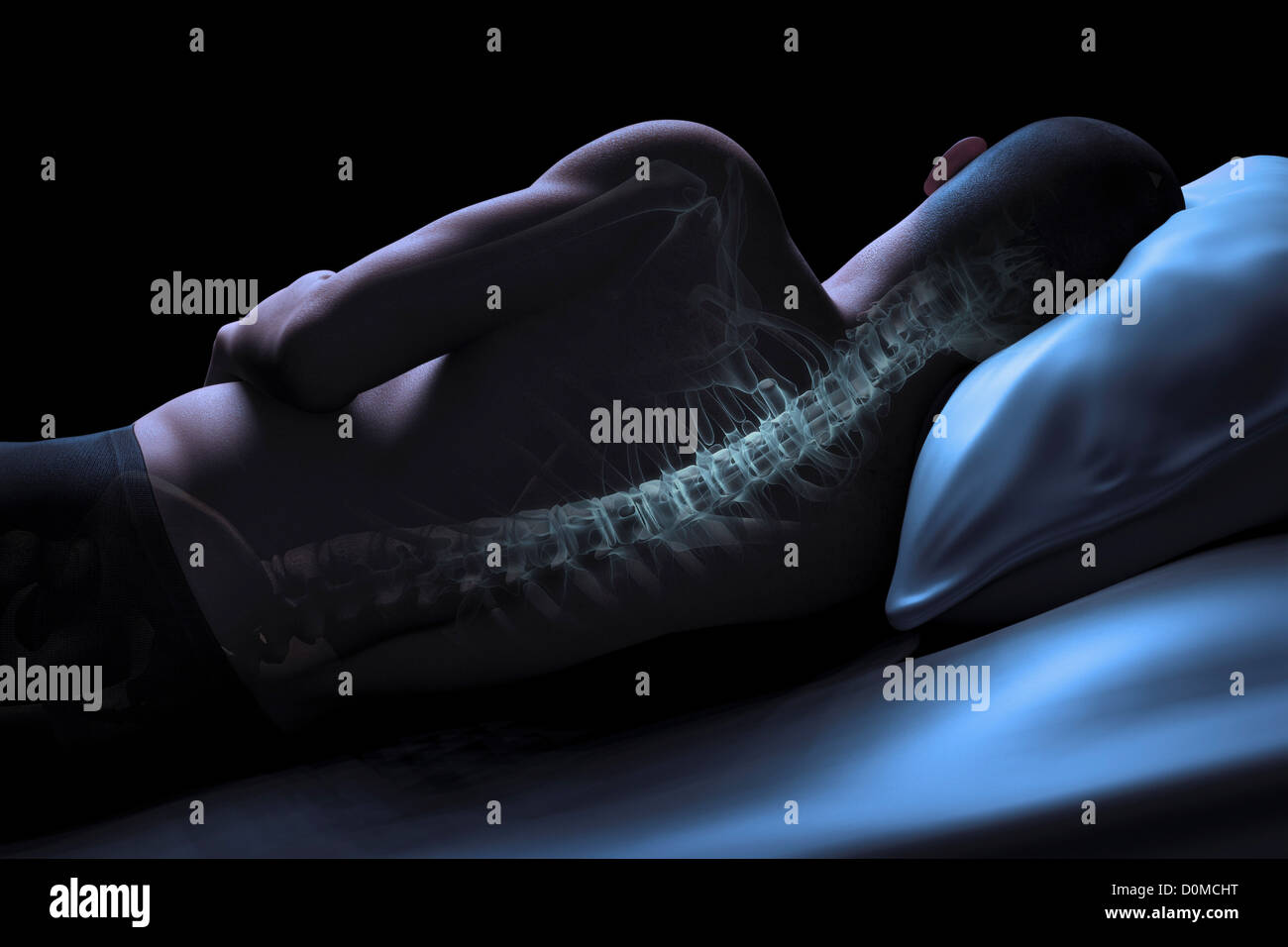 Anatomical model showing spinal alignment during a human rest or ...