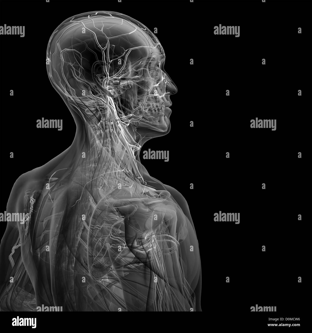 Showing model Black and White Stock Photos & Images - Alamy