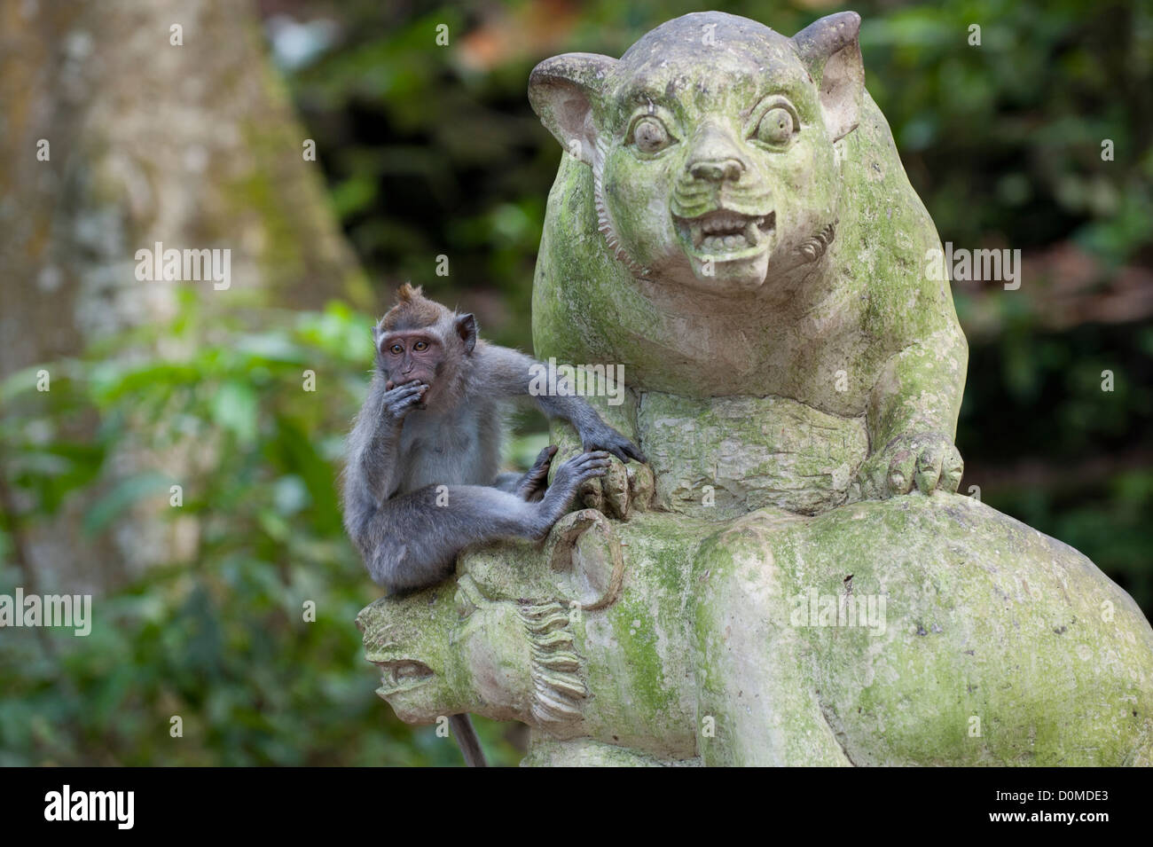 A monkey next to a rat statue ,in Monkey Forest ,with a human ...