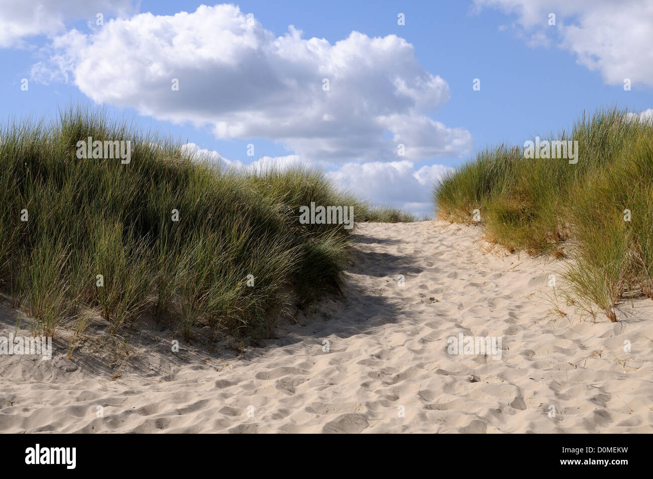 Sand Dunes Dorset Coast Stock Photo - Alamy