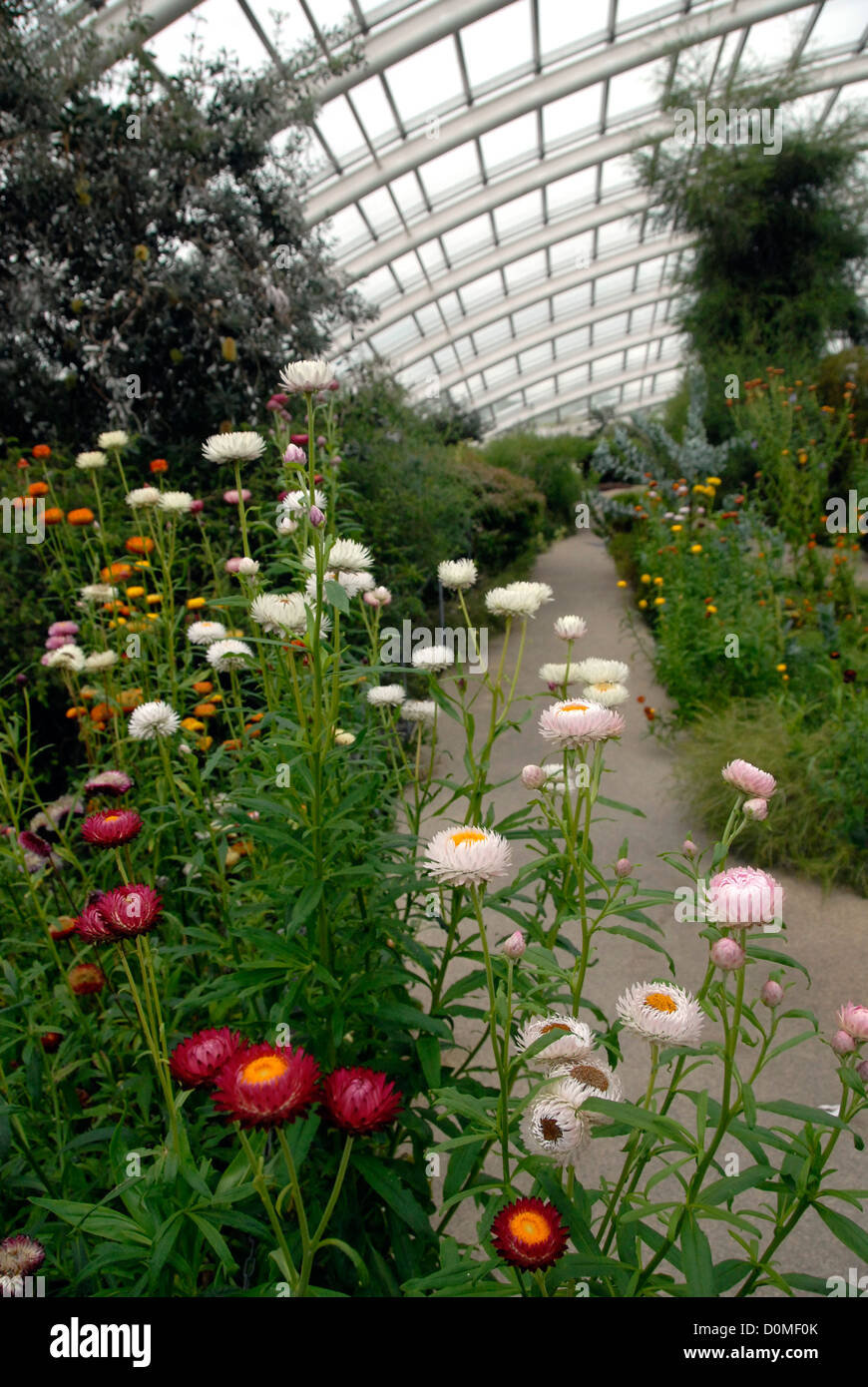 Norman Foster designed Glass house with huge single span National ...