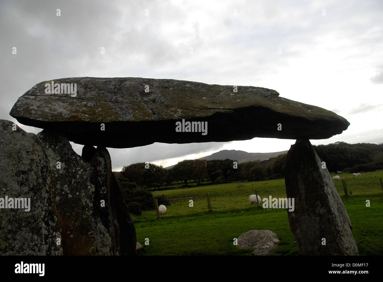 Pentre Ifan Cromlech standing stones, near Newport, Pembrokeshire ...