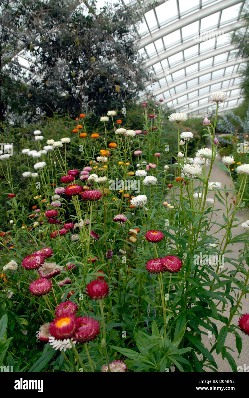 Norman Foster designed Glass house with huge single span National ...