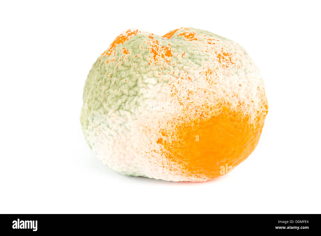 Moldy orange isolated over white Stock Photo - Alamy