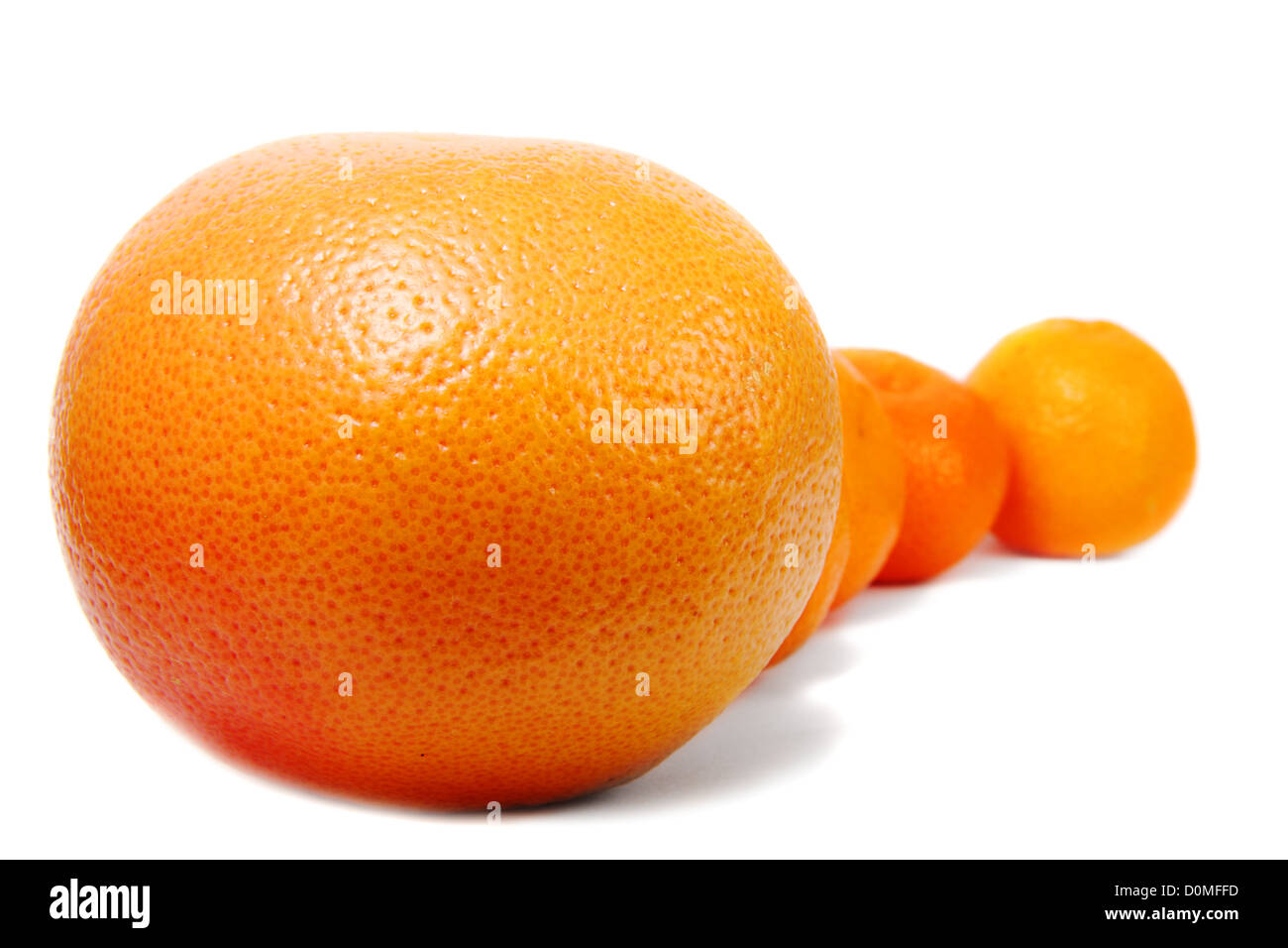 Row of citrus fruits Stock Photo - Alamy