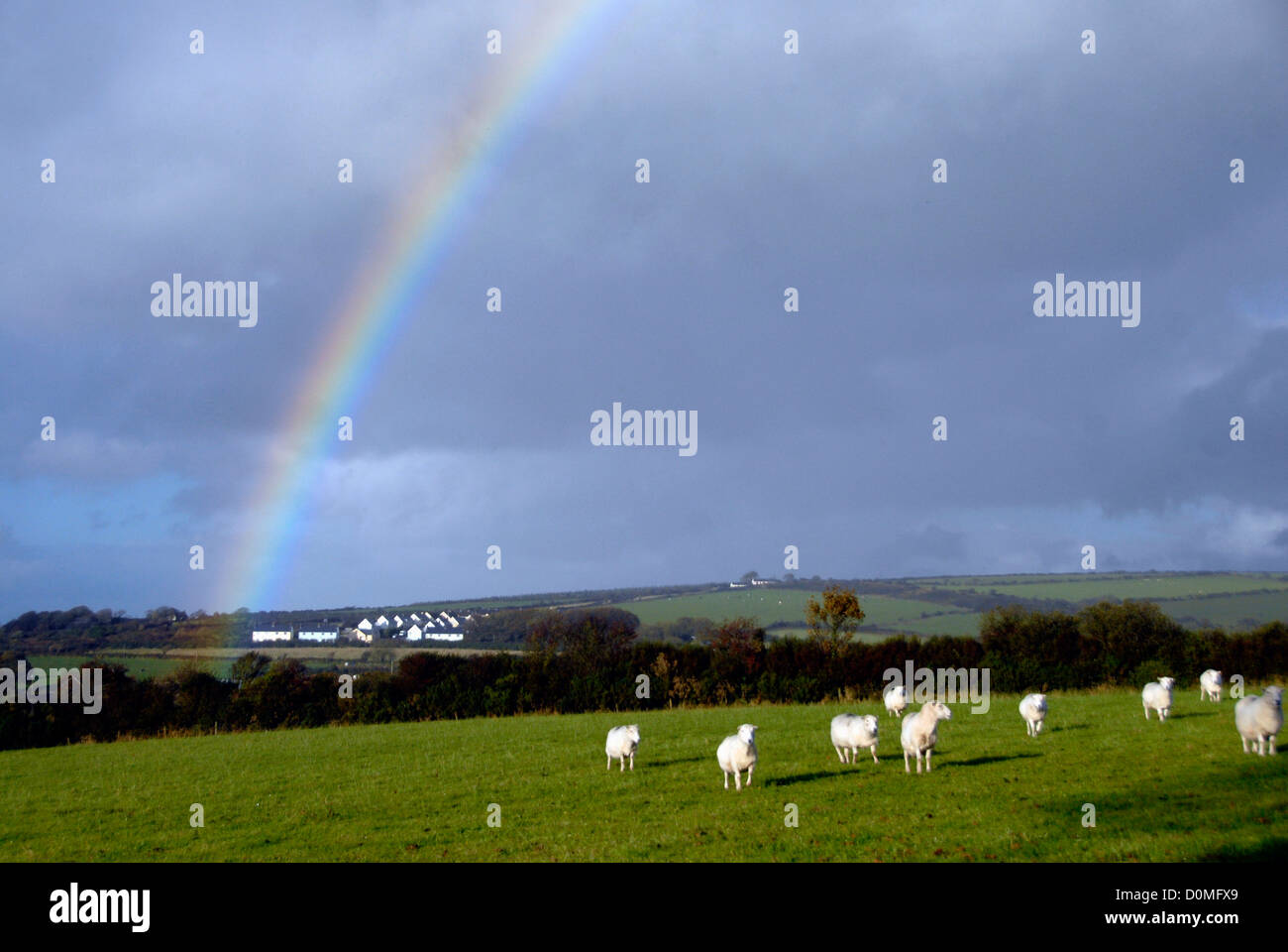 Rainbow on dark sky over green fields Pembrokeshire, Wales Stock Photo ...