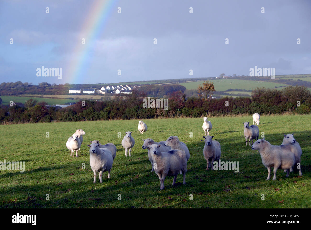 Pembrokeshire rainbows hi-res stock photography and images - Alamy