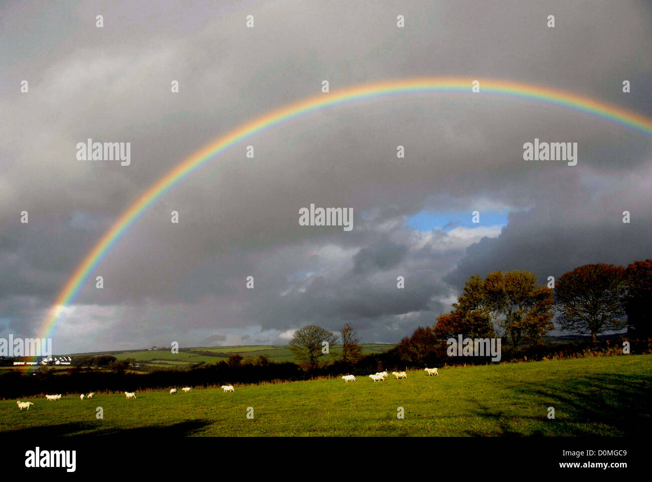 Rainbow on dark sky over green fields Pembrokeshire, Wales Stock Photo ...