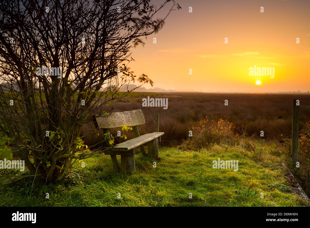 rest place with wooden bench at calm sunrise Stock Photo - Alamy