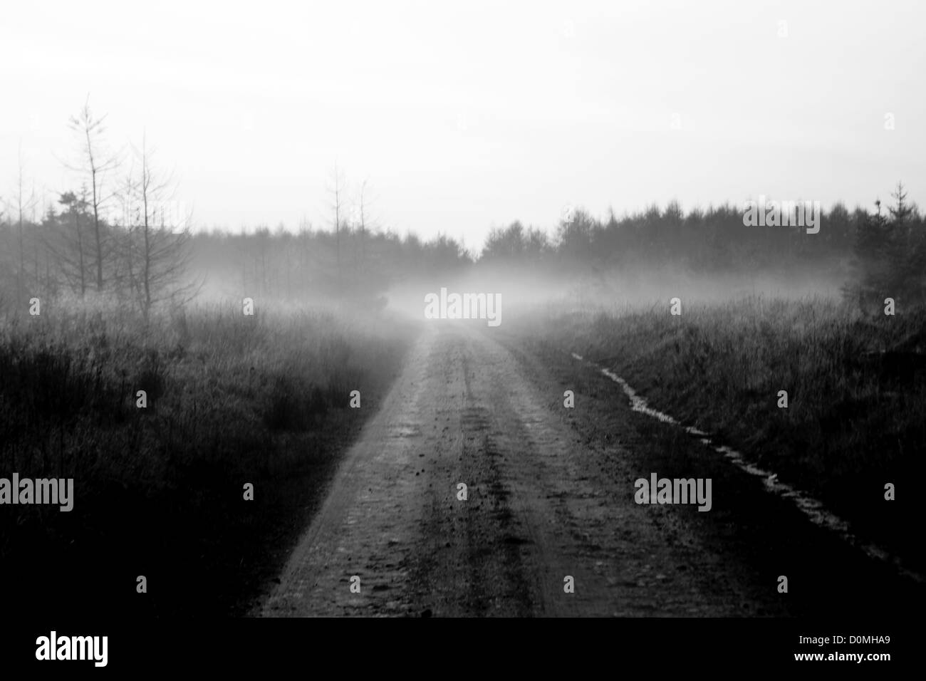 North track Black and White Stock Photos & Images - Alamy